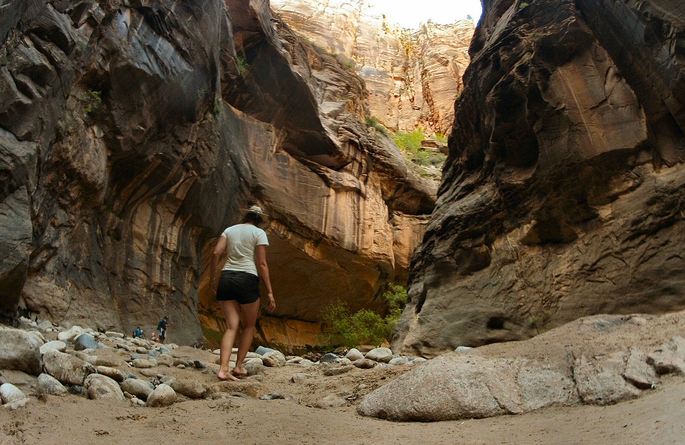 Zion Canyon – Road and Ocean